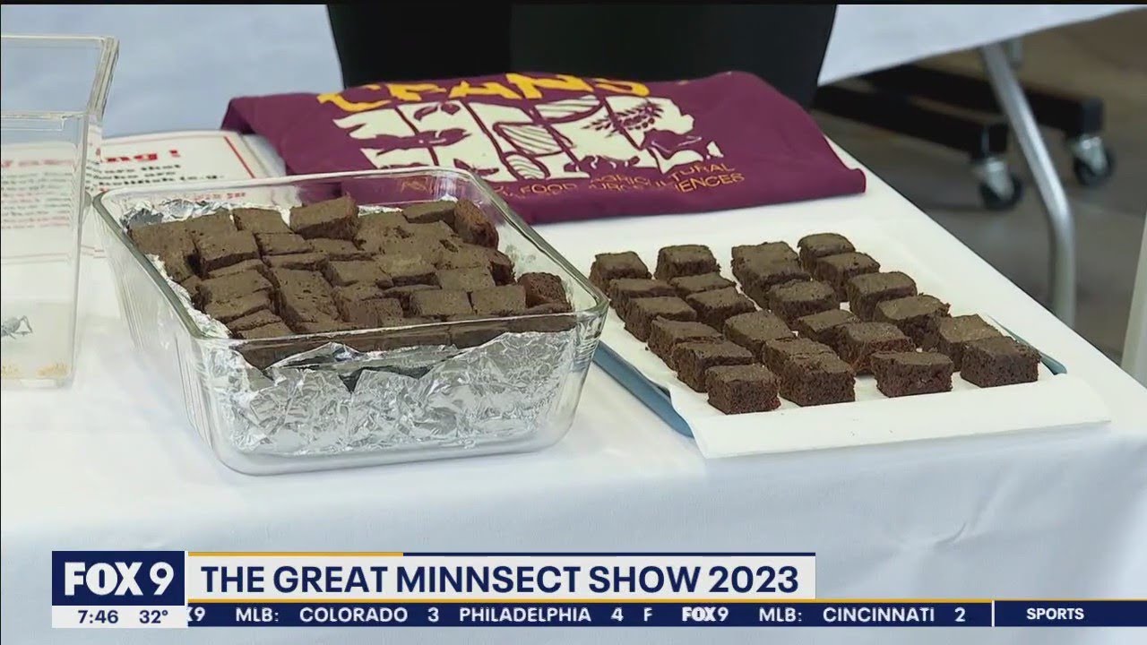 Earth Day: FOX 9 anchor and meteorologist try cricket brownies - YouTube