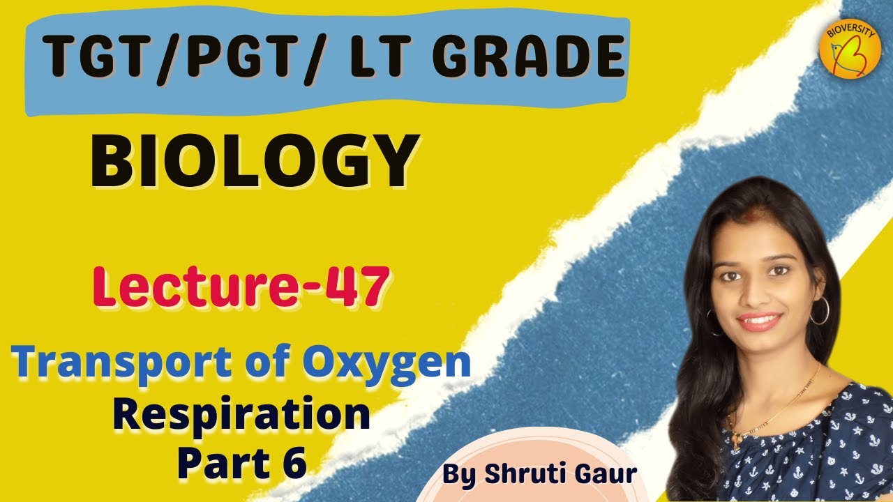 Transport of oxygen TGT/PGT/ LT DSSSB/KVS/CTET/ UPTET - YouTube