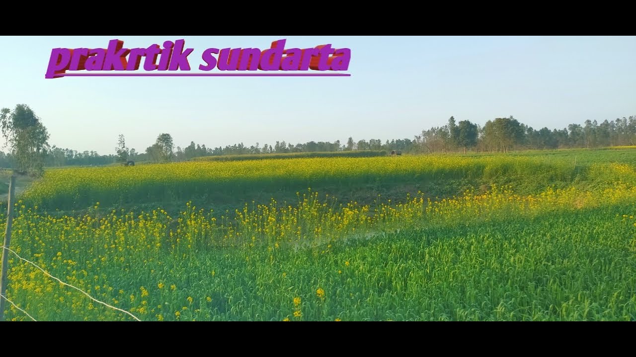 Prakrtik sundarta harit kranti | Hariyali najara sundarta |haritkranti ...