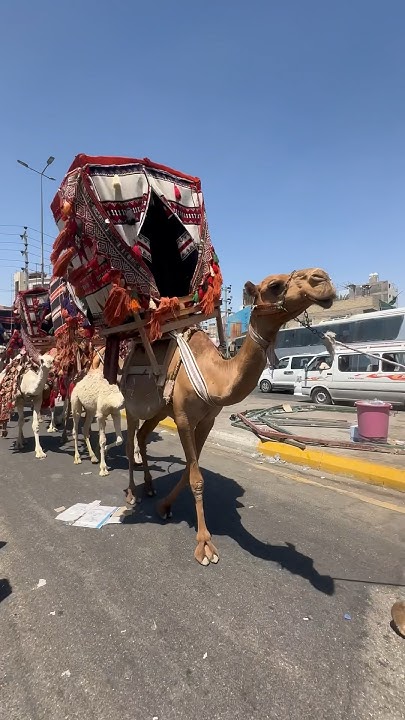 يا نوك - YouTube