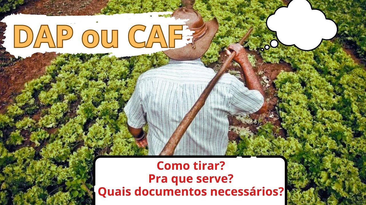 O que é DAP ou CAF? Como Tirar? O que preciso fazer pra tirar a CAF ...