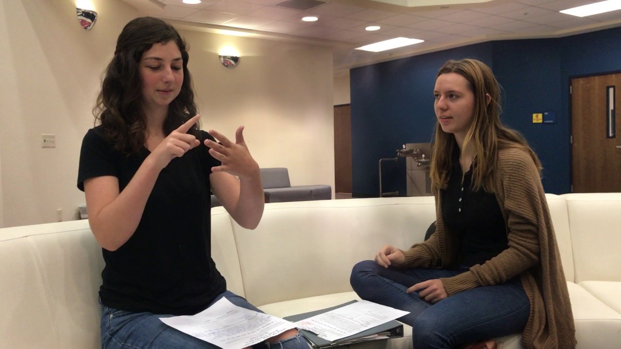 LeAnn interviewed Sarah - YouTube