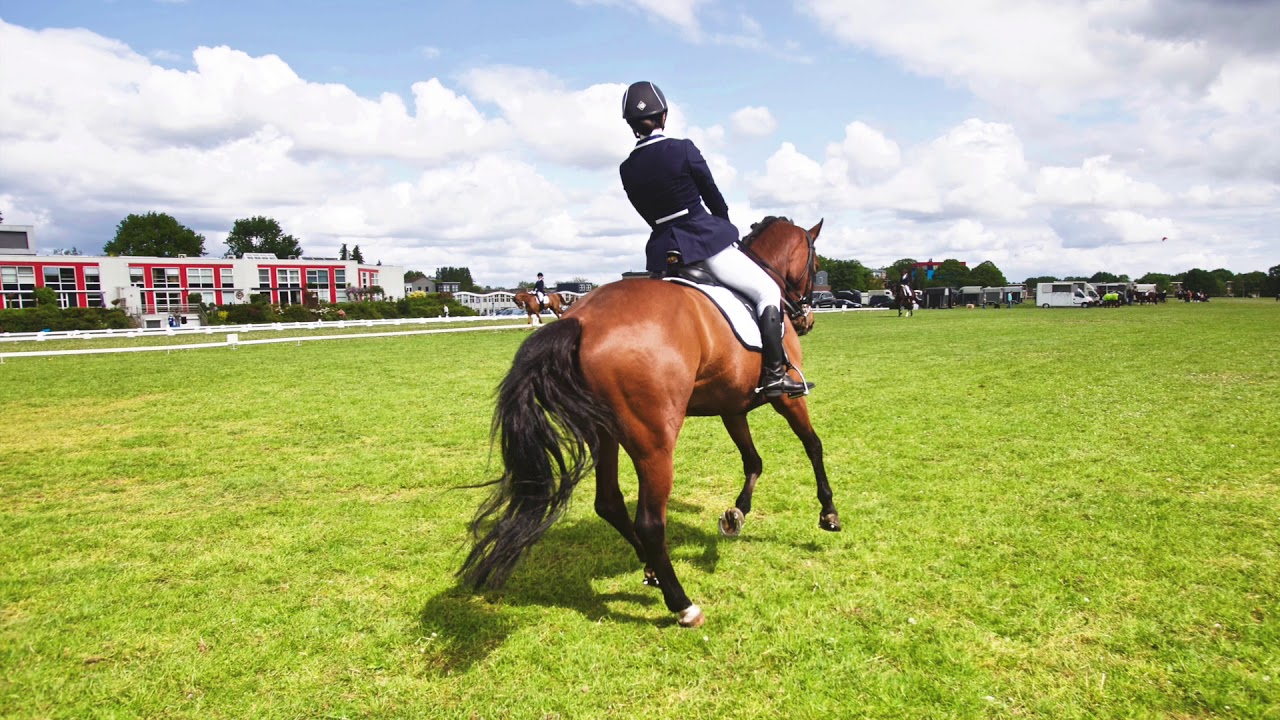 Horse Slow Gallop Version 1 Sound Effect - YouTube