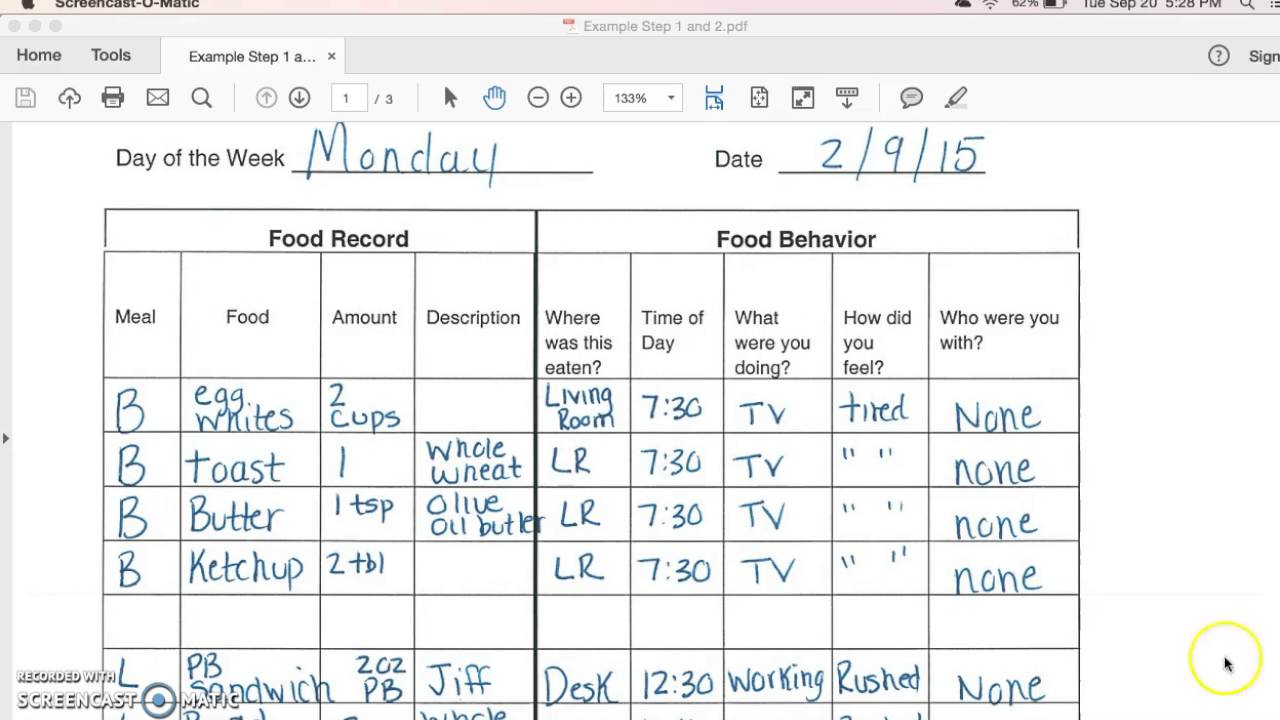 Dietary Analysis Part 1 YouTube Dietary Analysis Part 1 YouTube