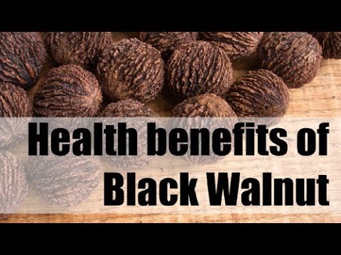 Top 8 Health benefits of Black Walnut - Extract Benefits & Uses - YouTube