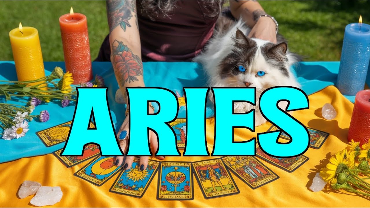 ARIES 💃 WHAT YOU DID TO THIS PLAYER ARIES?! 🤣🥂♥️🔥 ARIES TAROT LOVE ...
