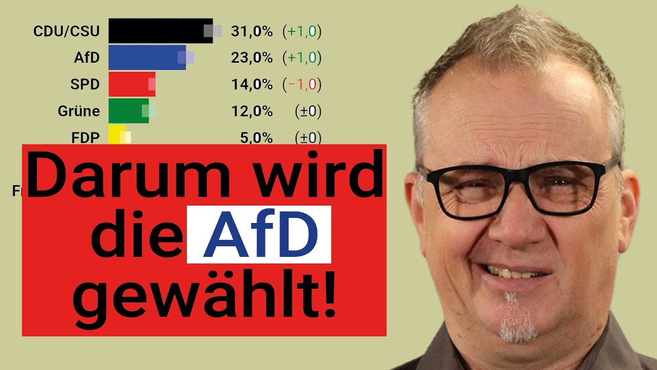 10 Gründe für den Erfolg der AFD - YouTube