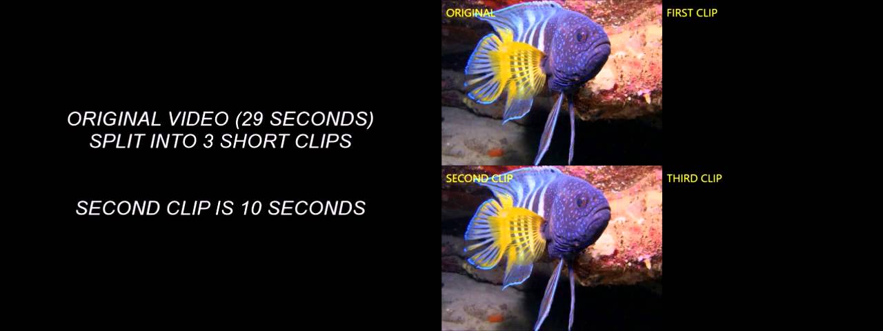 How to Split a Video with FFMPEG - YouTube