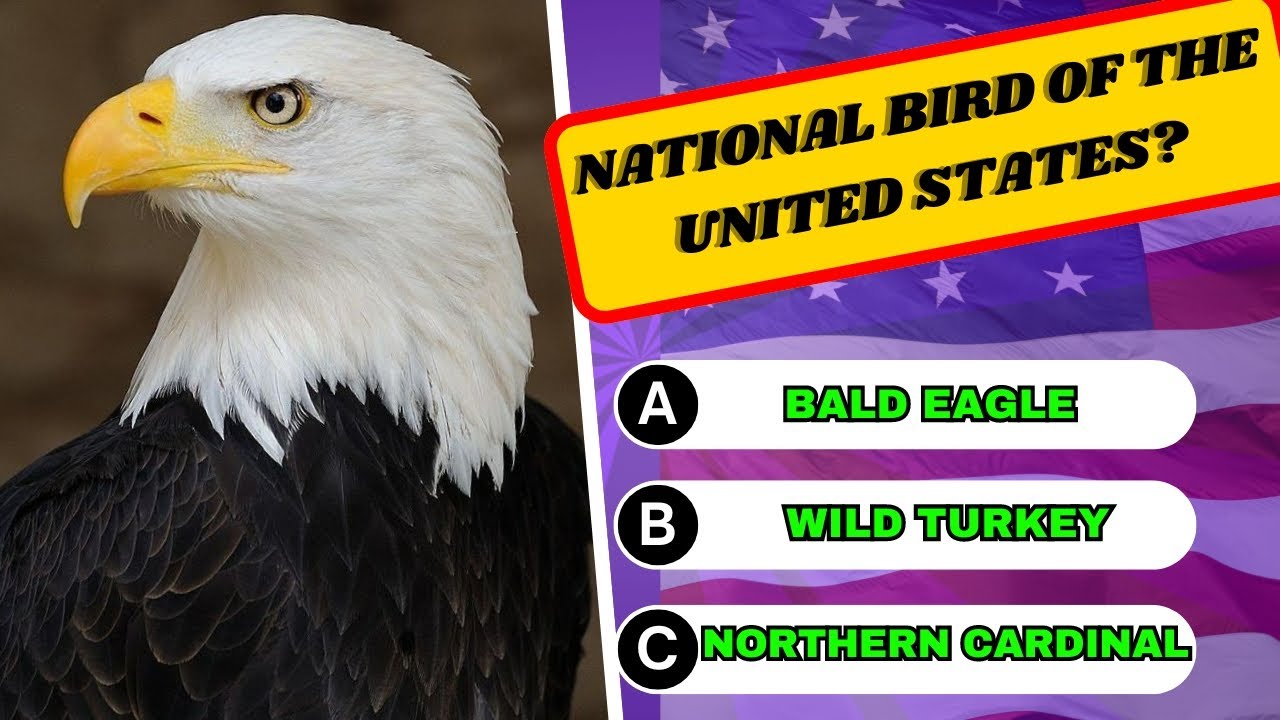 Animal Kingdom Challenge | Test Your General Knowledge Trivia ...