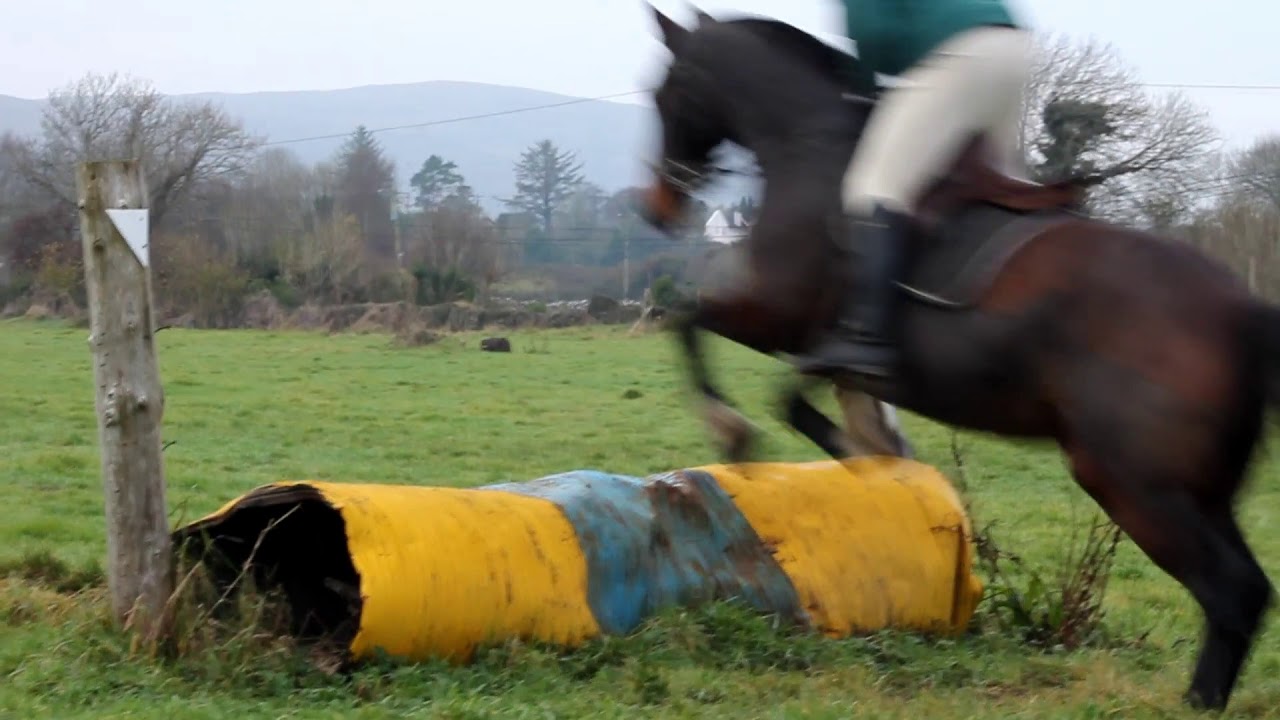 Joey & Romeo's Day of Fun - YouTube