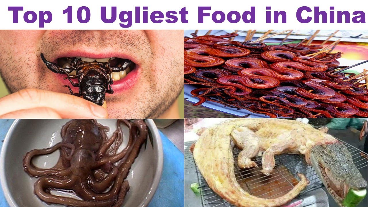 Top 10 Ugliest Food In China | Tamil | Dangerous Food | Street Food ...