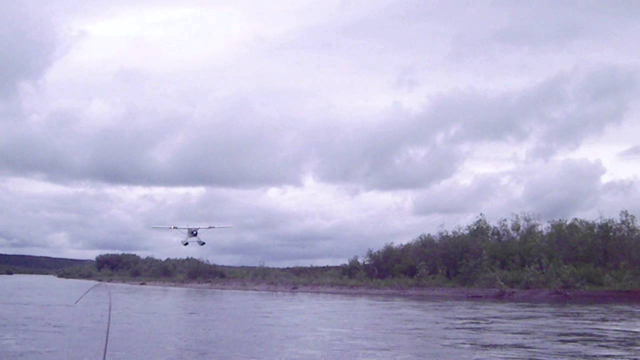 Alaska beaver flying - YouTube