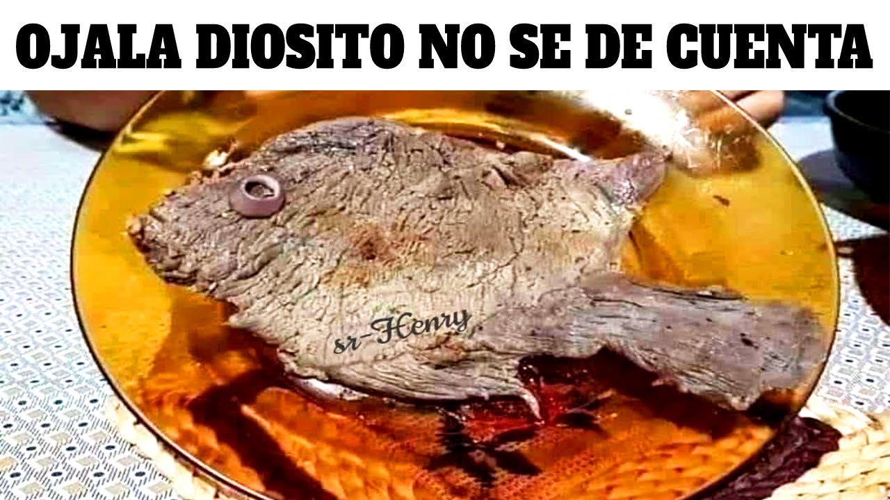 EL LUCHO MEMES #49 - YouTube