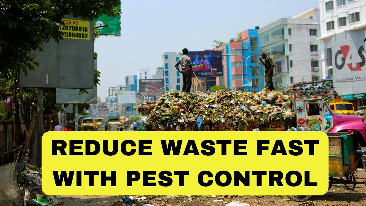 PEST CONTROL against WASTE | BEST TIPS | Pest Control TIPS 2024. - YouTube