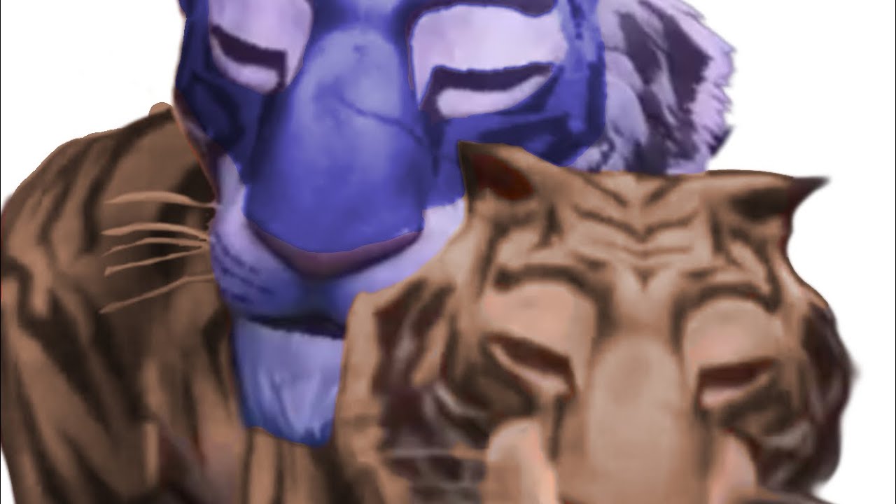 Nicholas (Tiger) and Laureate (Tiger) Nuzzling - YouTube