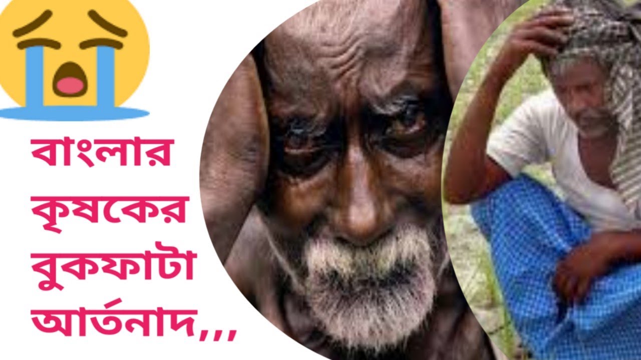 বাংলার কৃষকের আর্তনাদ || Bengal Farmers Crying || সব শেষ ! || # ...
