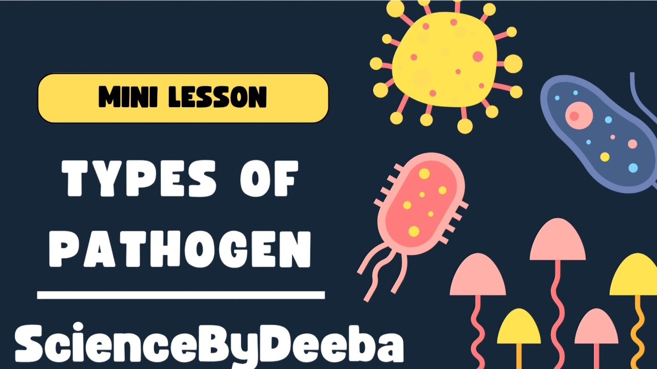 Types of Pathogens Explained! 🦠🔥 | Viruses, Bacteria & More! # ...