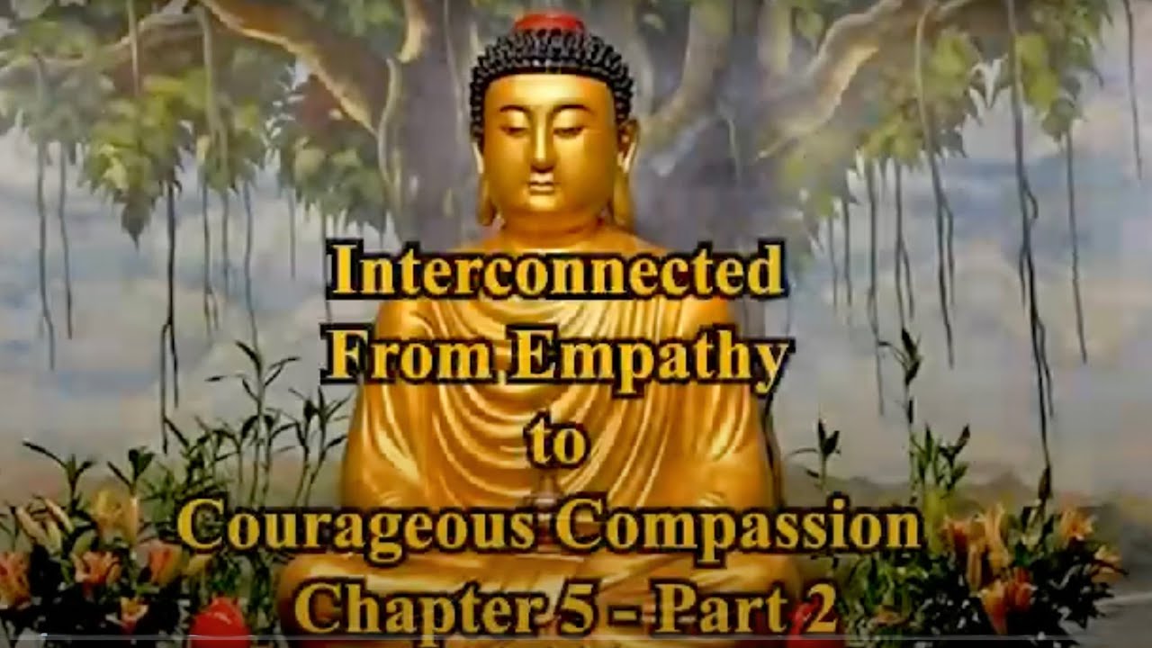 Interconnected From Empathy to Courageous Compassion Chapter 5 Part 2 - YouTube