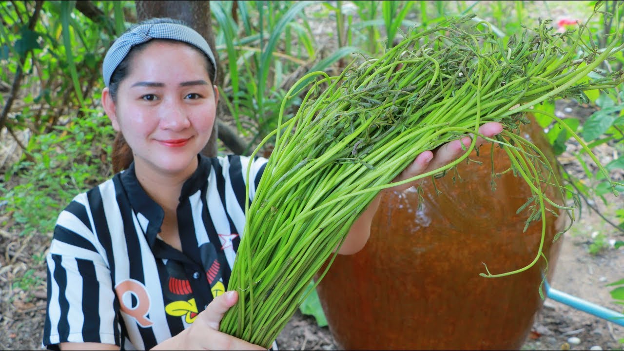 Tasty Water Mimosa Sour Soup Cooking Beef - Cooking With Sros - YouTube