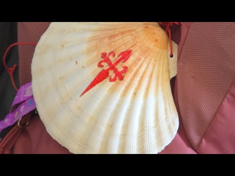 LETS GO 🎒 Tag 1 auf dem Camino Portugués in Porto – mit  @Eierbär-p1u  🥾​ (Musik by MelanieLiora13) 