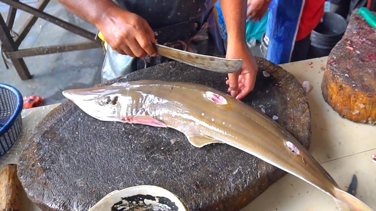 SHARK CUTTING SKILLS || SHARK MEAT - INDONESIAN STREET FOOD - YouTube