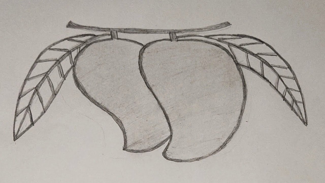 Mango diagram। How to draw mango drawing step by step। आम का चित्र। # ...