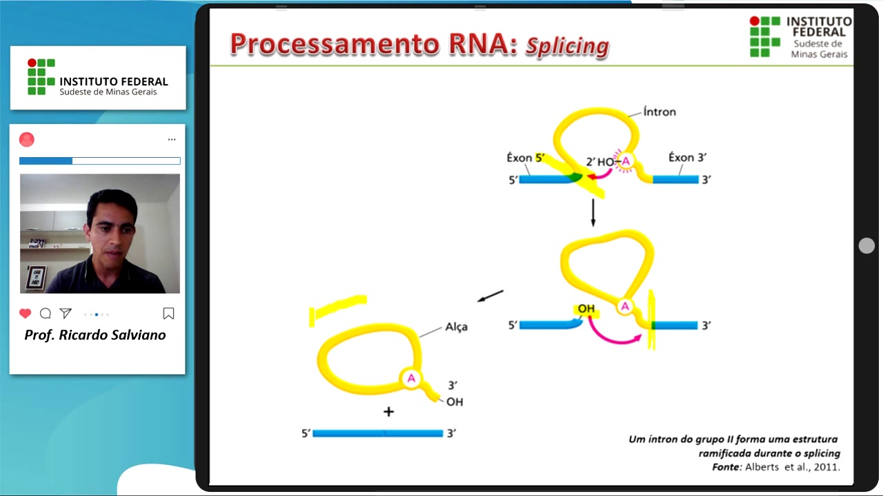 Processamento do RNA - Parte I (Splicing) - YouTube