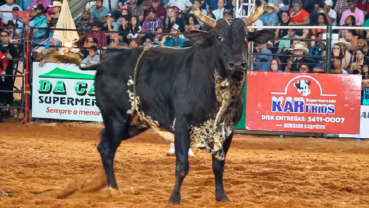 RODEIO DE ITURAMA-MG 2024 - TOP 13 MELHORES TOUROS | SEXTA FEIRA - YouTube