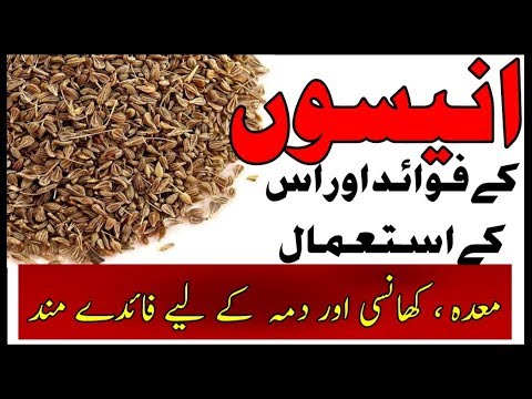 Health Benefits of anise || Anisoon ke fawaid ur us ke istemal By Hakeem Zia Shahid
