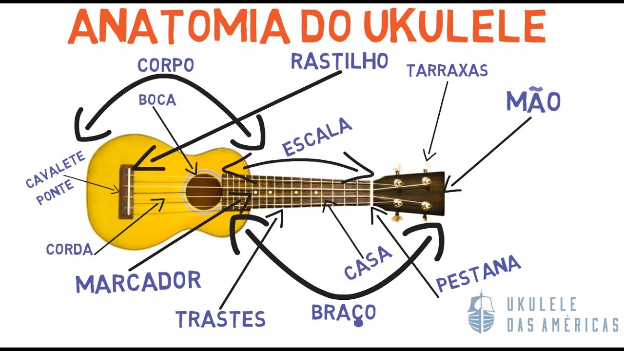 ANATOMIA DO UKULELE - YouTube