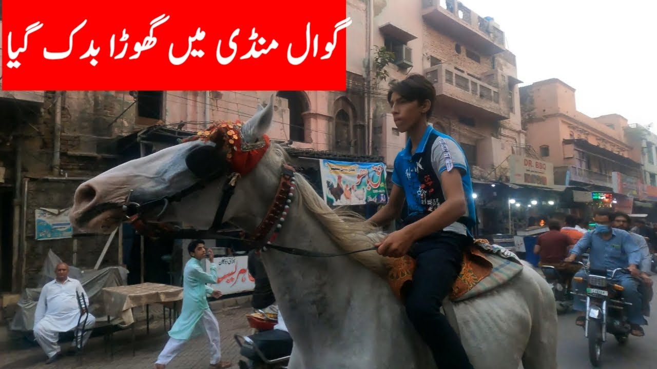 GawalMandi food street Lahore on 12 Rabi ul Awal. Too much happening ...