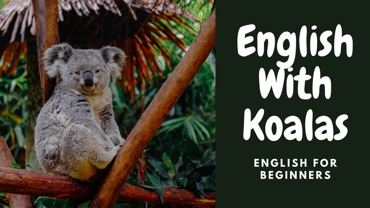 ENGLISH WITH KOALAS - YouTube