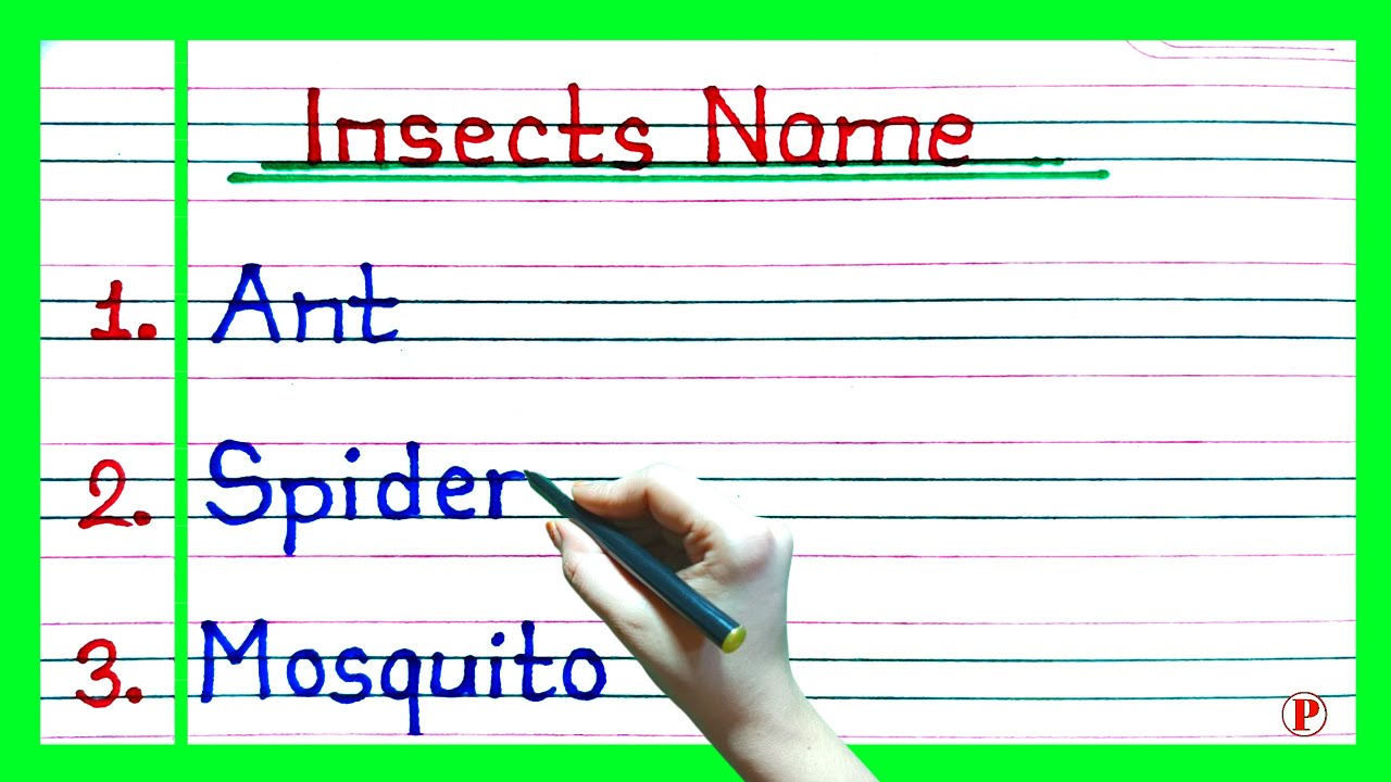 10 Insects Name In English | Inscets Name | कीड़े मकोड़े के नाम ...