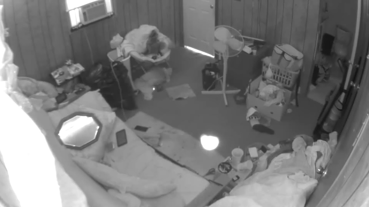 GHOST OR ALIEN? WHAT TYPE OF PARANORMAL IS THIS?!? - YouTube