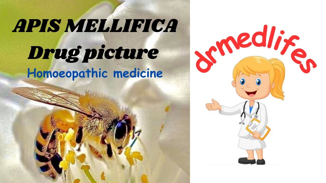 Apis mellifica drug picture Homeopathic medicine Allen's keynote ...
