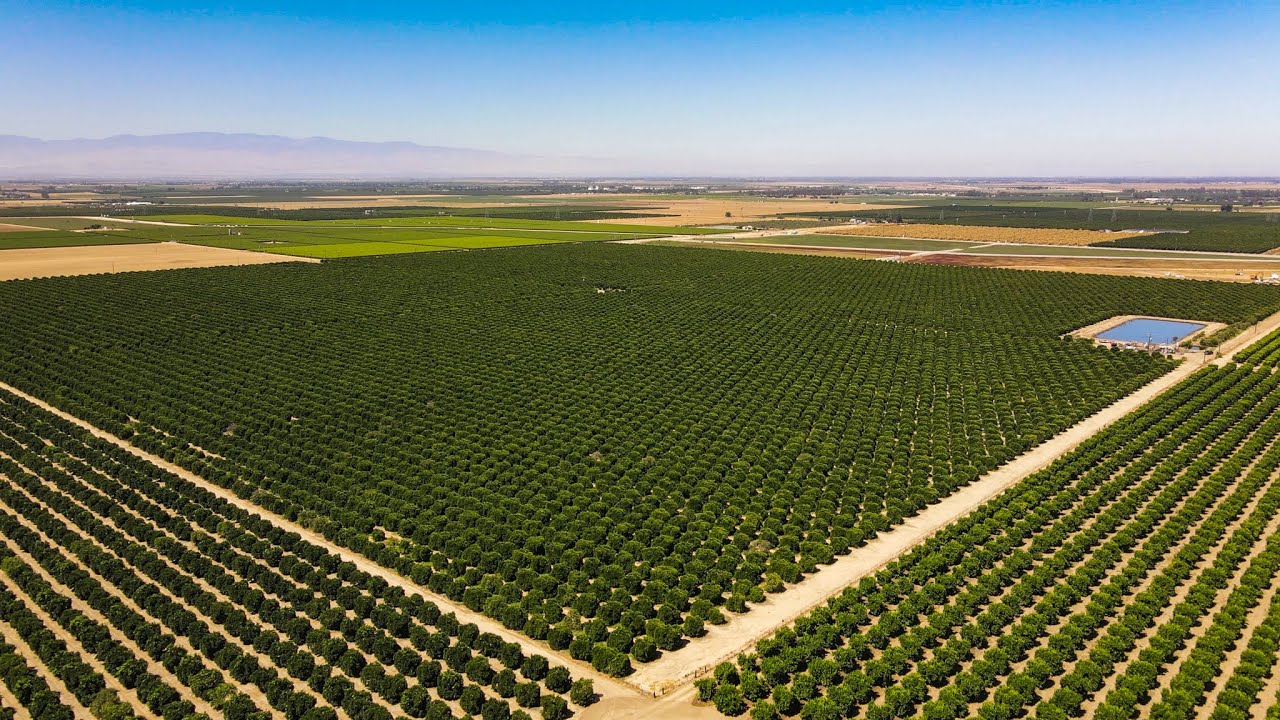 Tech Ag Financial Group - Edison Citrus Property - YouTube