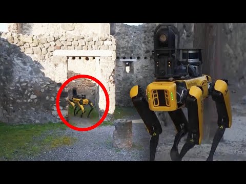 Robodog Patrols Ancient Ruins of Pompeii