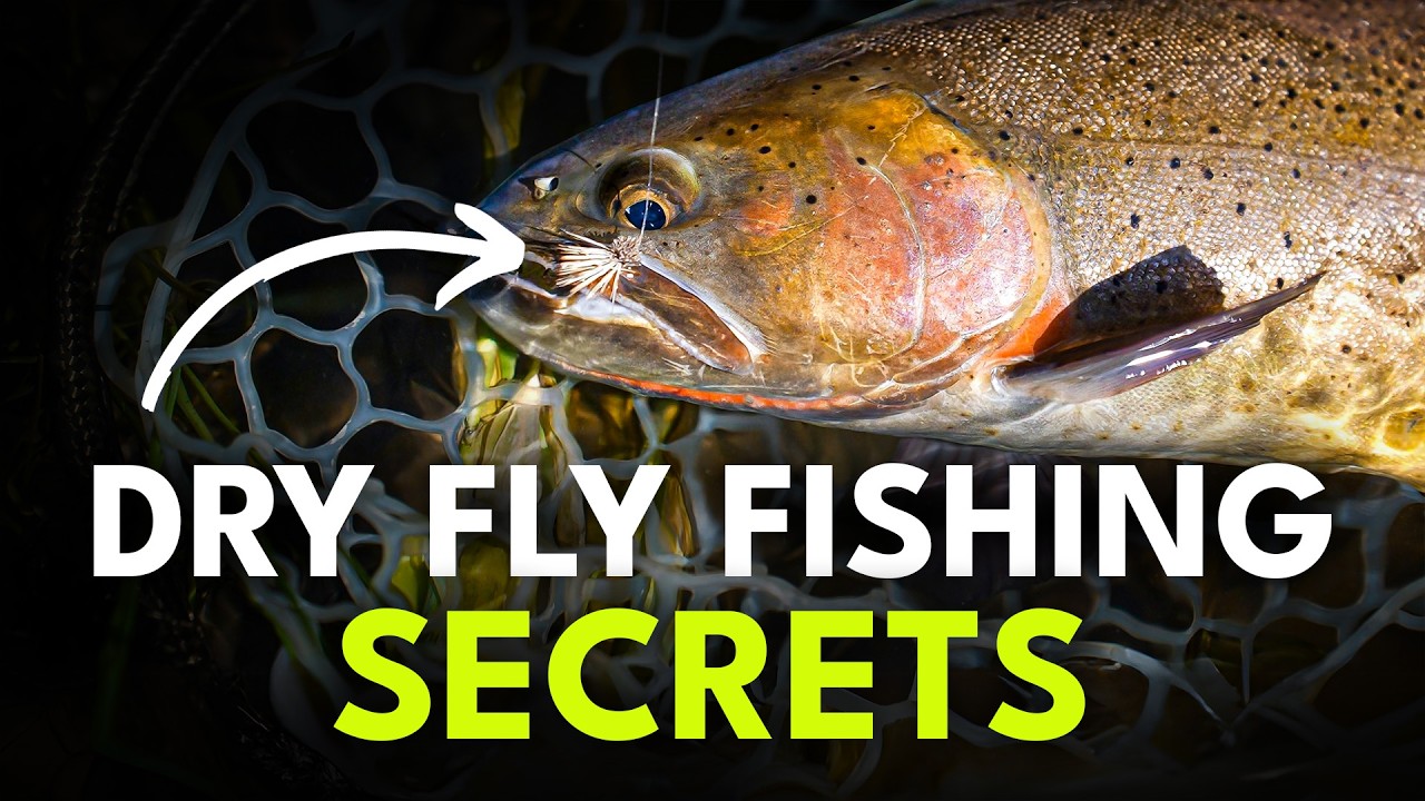 How To Catch More Fish on Dry Flies | Ep. 98 - YouTube