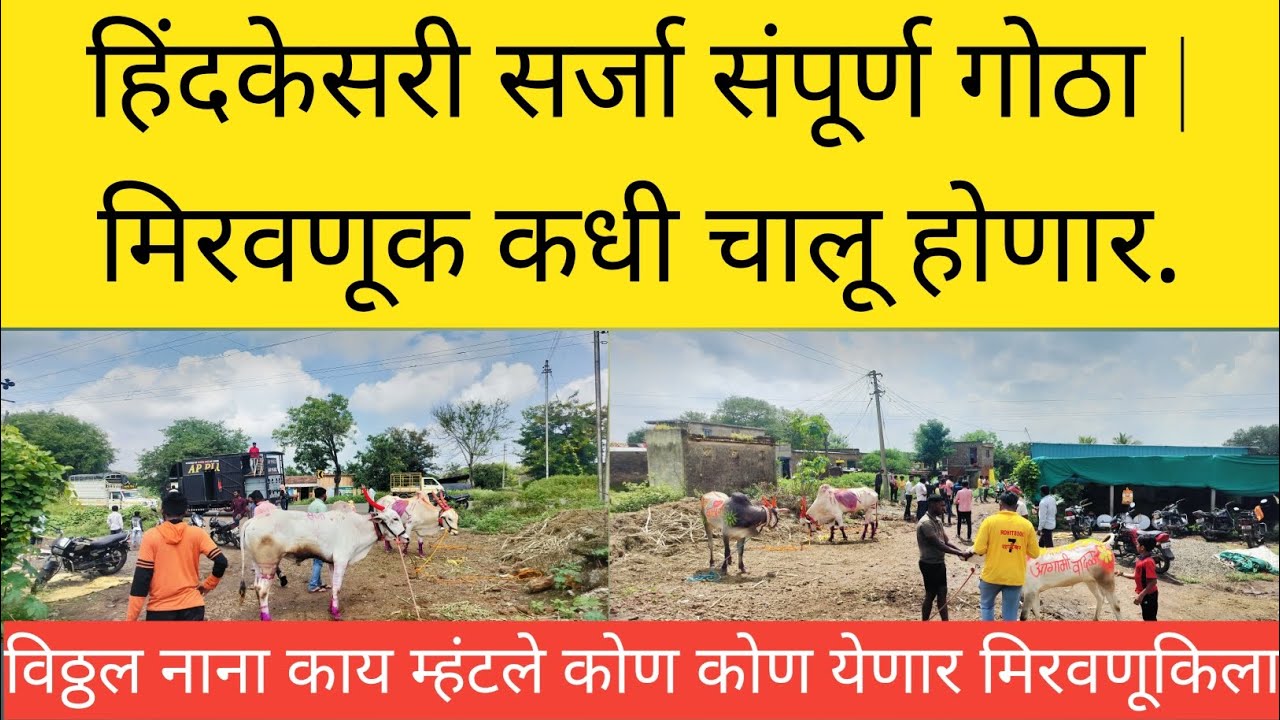 हिंदकेसरी सर्जा संपूर्ण गोठा |मिरवणूक कधी चालू होणार #bailgada #sarja ...