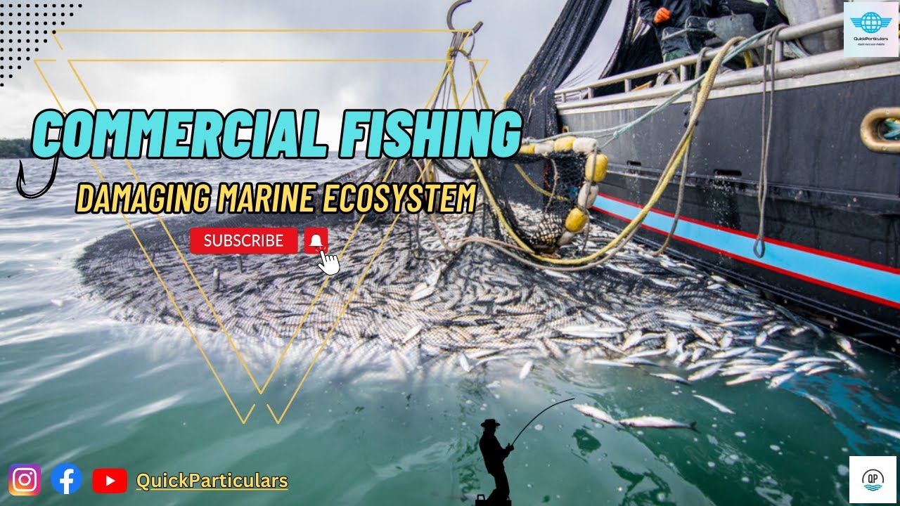 "The Dark Side of Commercial Fishing: Exploring Its Impact on the ...