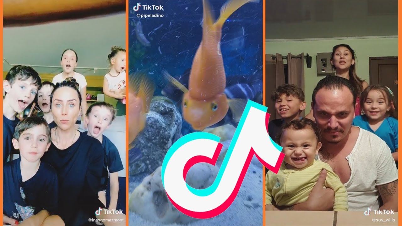 TIBURONCIN UH HA HA! 🐠🐟 | TikTok- BUSCANDO A NEMO! - YouTube