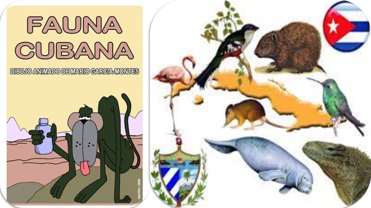 Fauna Cubana 1987. Dibujo Animado Cubano #144 - YouTube