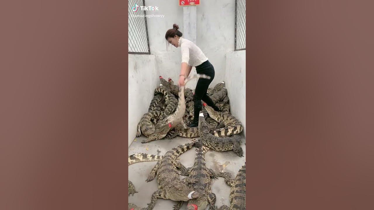 Amazing Video ! This is my work , Working with group of crocodile - YouTube