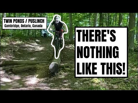 THERE'S NOTHING LIKE THIS! - Twin Ponds / Puslinch Tract - YouTube