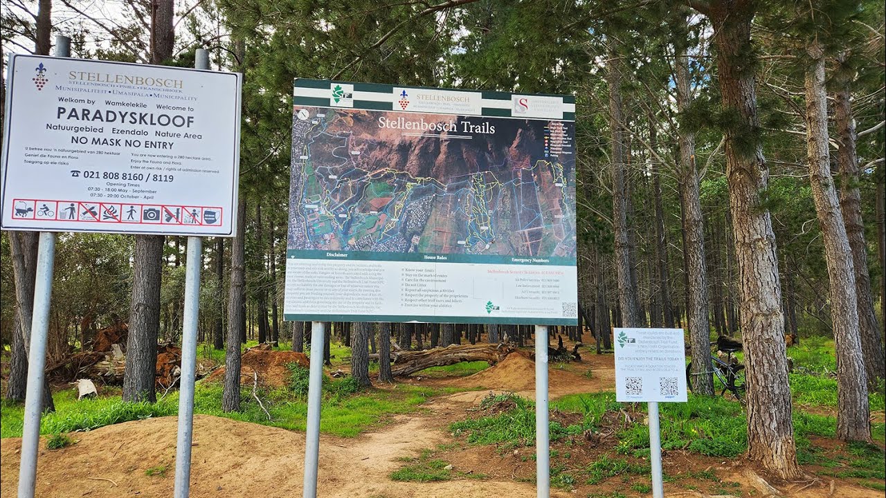 Eden Forest, Stellenbosch Trails, Western Cape | Waterfall and Forest Views - YouTube