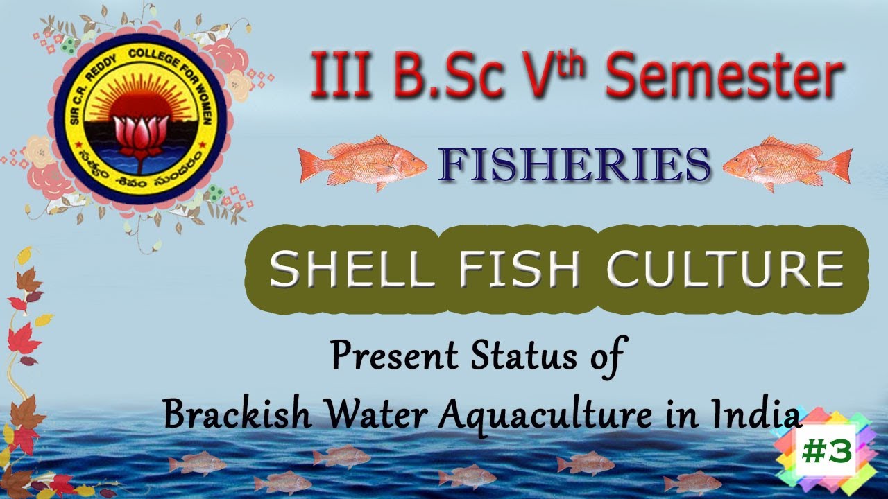 3. III BSc 5th Sem - FISHERIES - SHELL FISH CULTURE - Present Status of ...