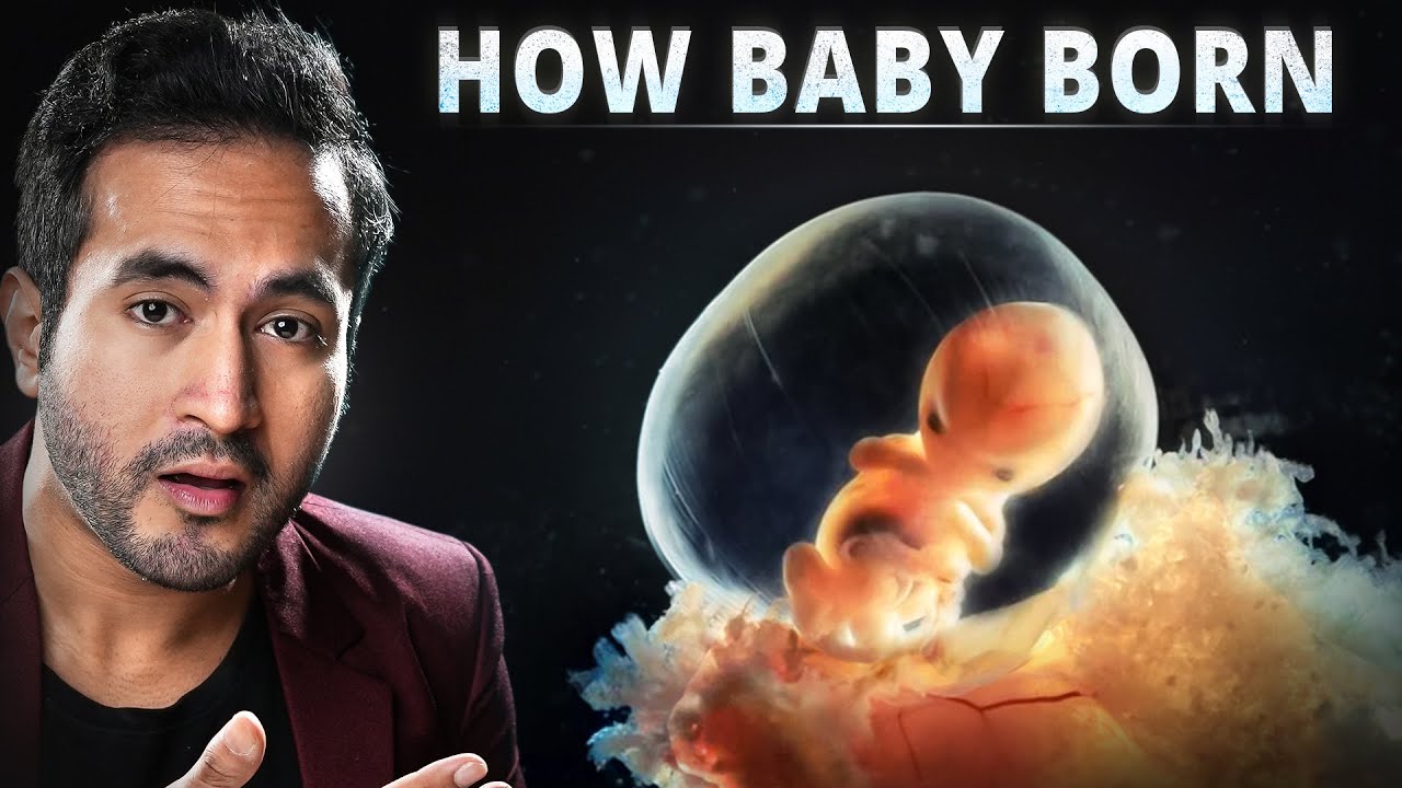 How Baby Grows in Mother's Stomach? | Complete Lifecycle of a Baby ...