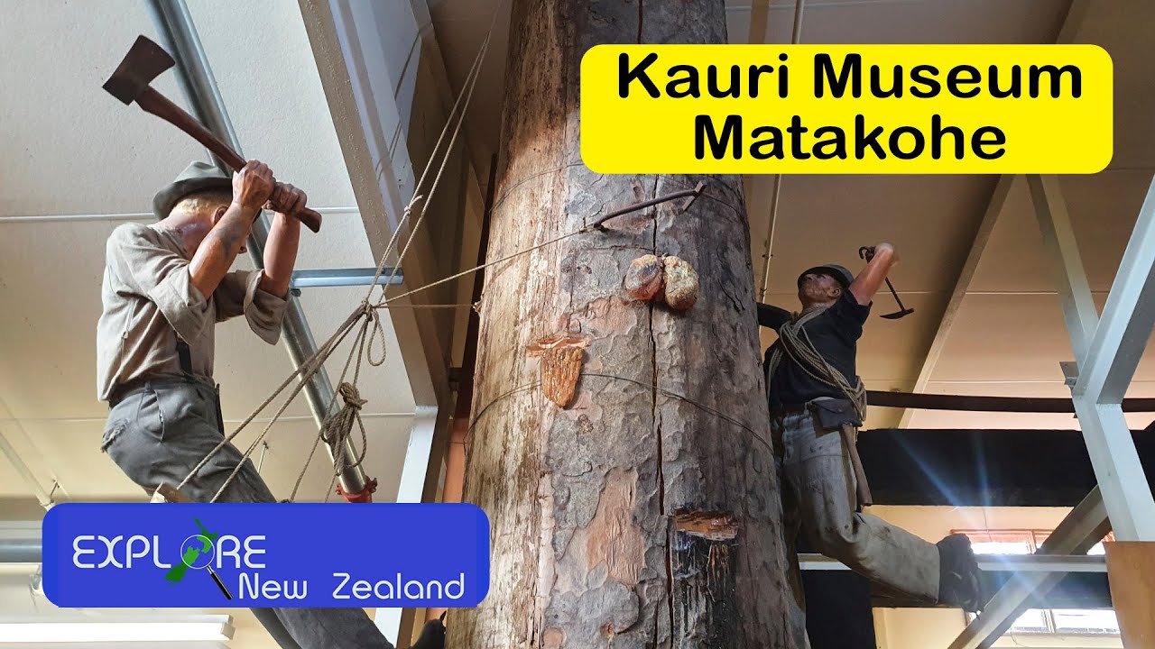 Kauri Museum Matakohe - YouTube