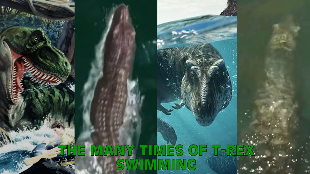 The Many Times Of T-Rex Swimming In Paleo Media - YouTube