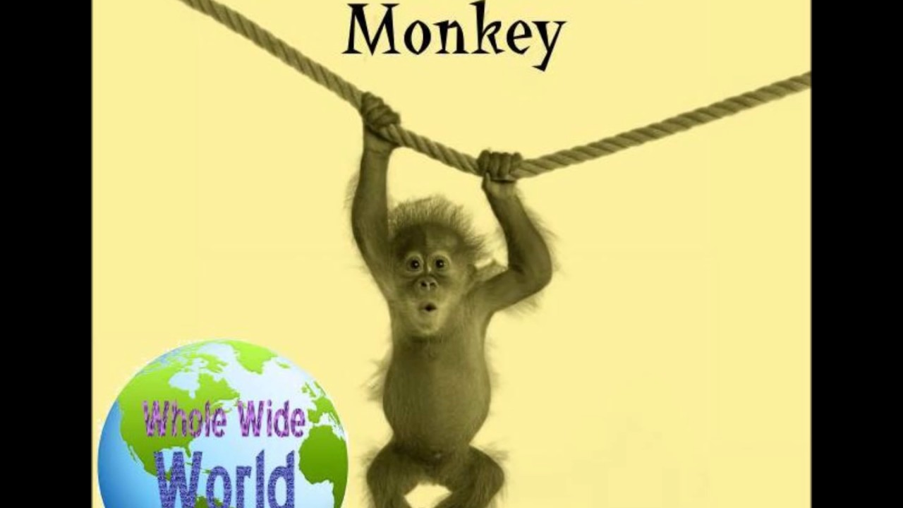 Home Grown Monkey - Whole wide world - YouTube